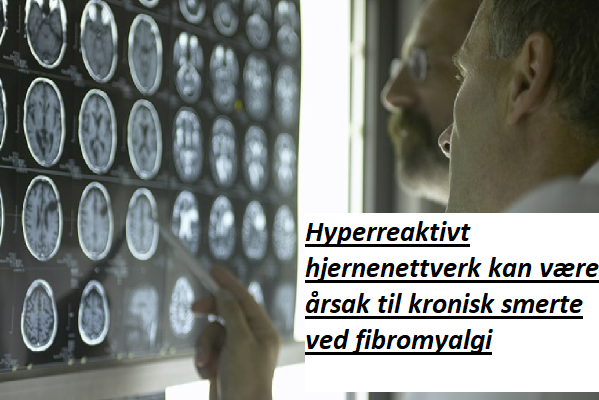 Hyperreaktivt hjernenettverk kan være årsak til kronisk smerte ved ...