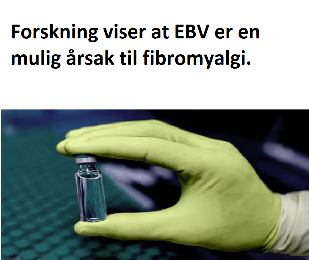 Forskning viser at EBV er en mulig årsak til fibromyalgi. - STAY AWARE ...