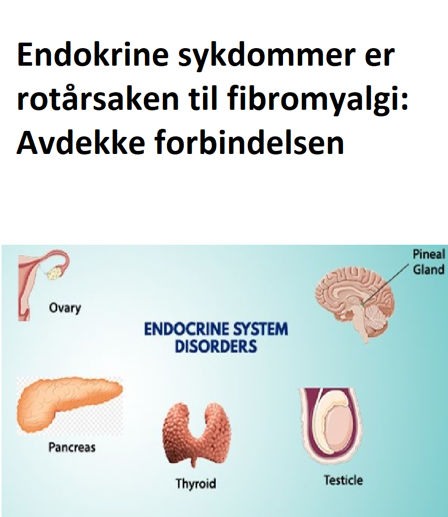 Endokrine sykdommer er rotårsaken til fibromyalgi: Avdekke forbindelsen ...