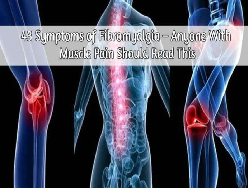 43 Symptoms of Fibromyalgia – Anyone With Muscle Pain Should Read This ...